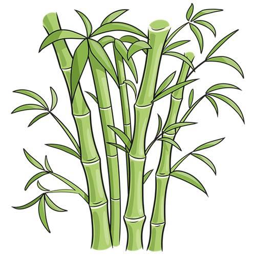 竹子的简笔画 竹子的简笔画图片 - 简笔画大全 - 儿童简笔画图片大全